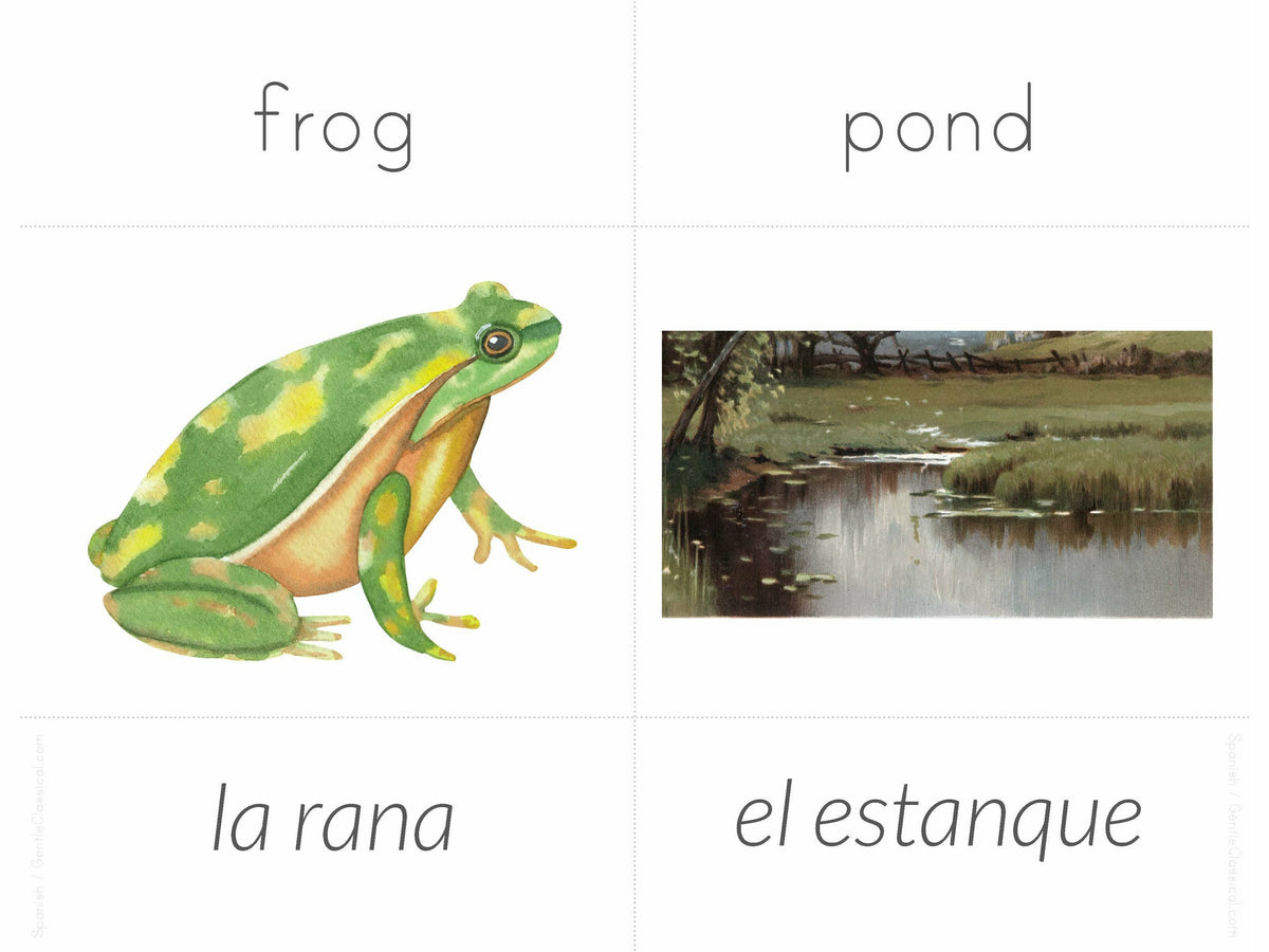 Spanish + English Nature Flashcards (DIGITAL) – The Gentle + Classical ...