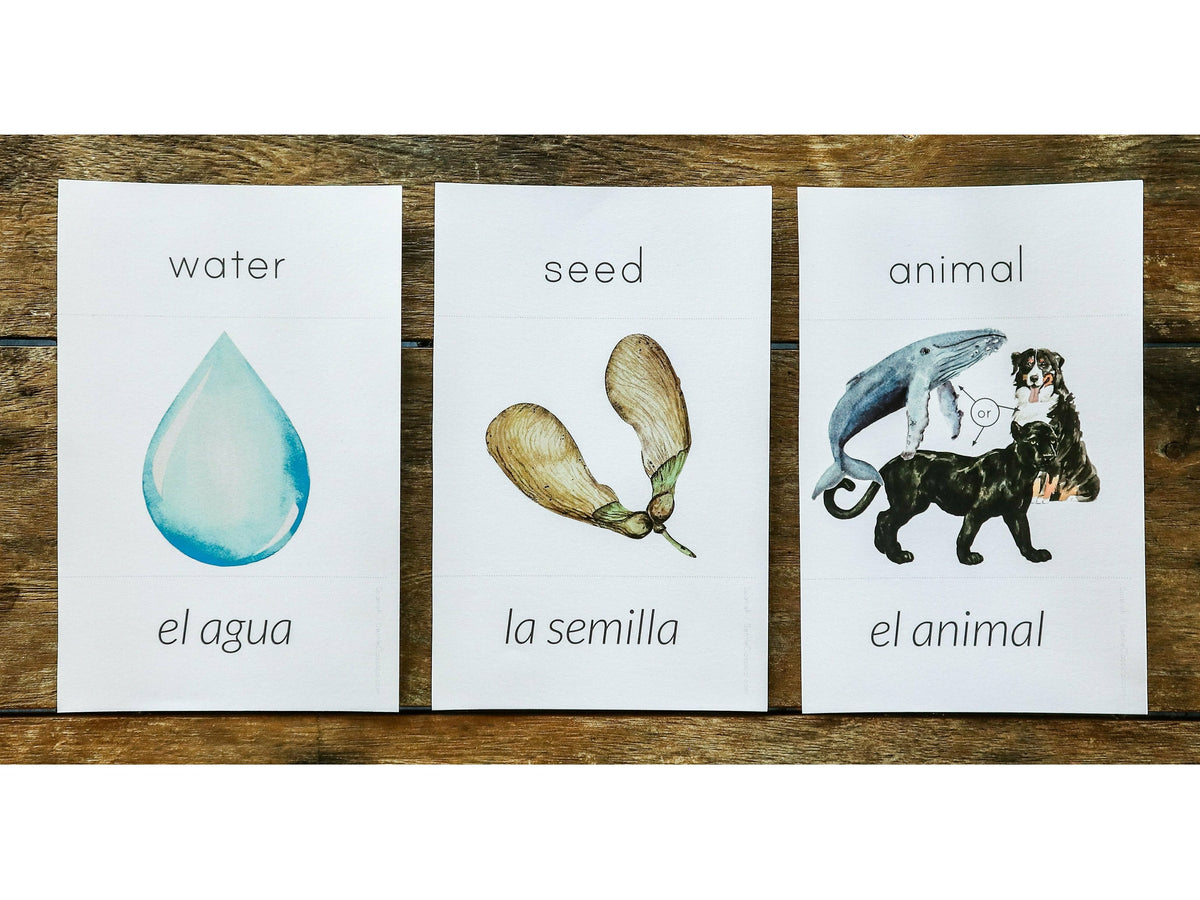 Spanish + English Nature Flashcards (DIGITAL) – The Gentle + Classical ...